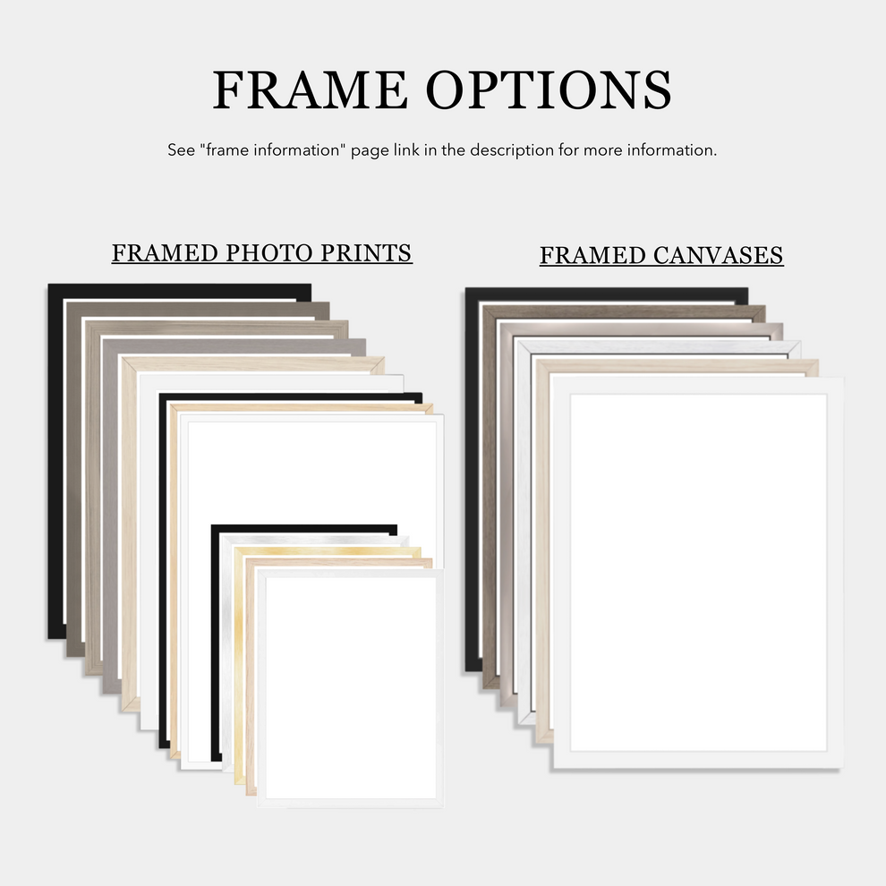 Lake Traverse, Minnesota – Lakeline Design